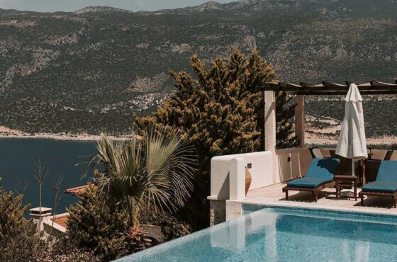 Restaurant – Lestin- Directory Listing WordPress Theme